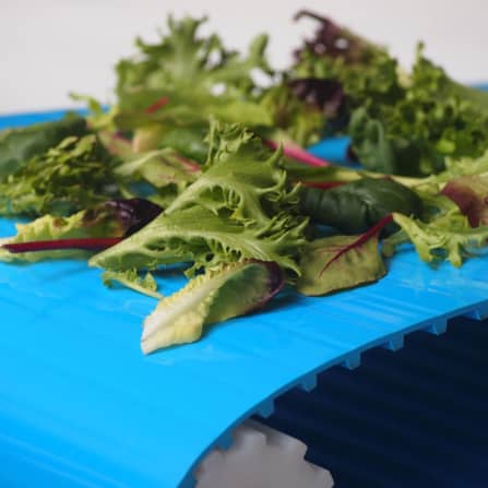 Positive Drive - Conveyor Belts - Products - Eurotechnik Charisoudis